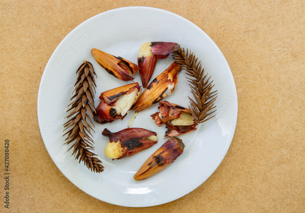 Roasted pinion, pine nuts from the Araucária angustifolia tree ...