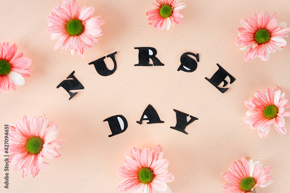 Pink chrysanthemums on a pastel pink background And stylish letters ...