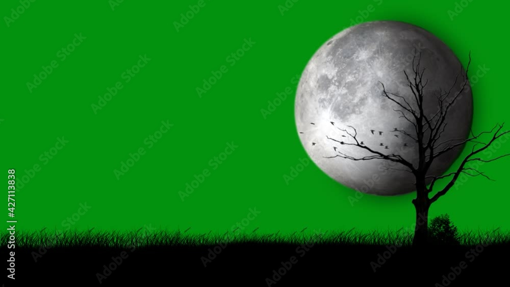 Full Moon Field Green Screen Sky Silhouette 4K Loop features a green ...