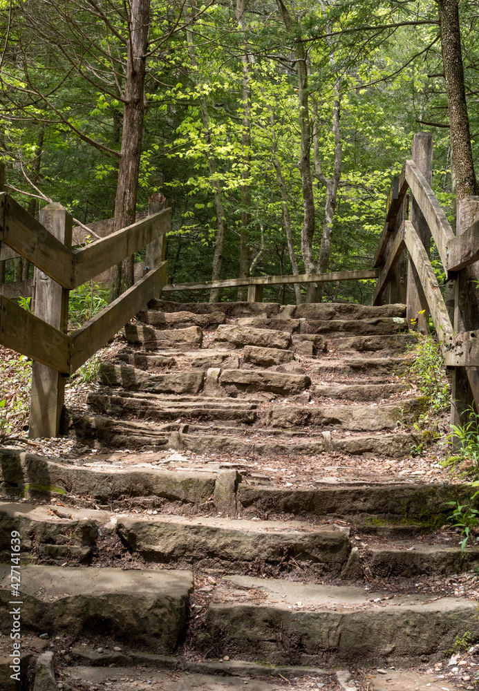 well worn stone steps in a forest in a state park Stock Photo | Adobe Stock