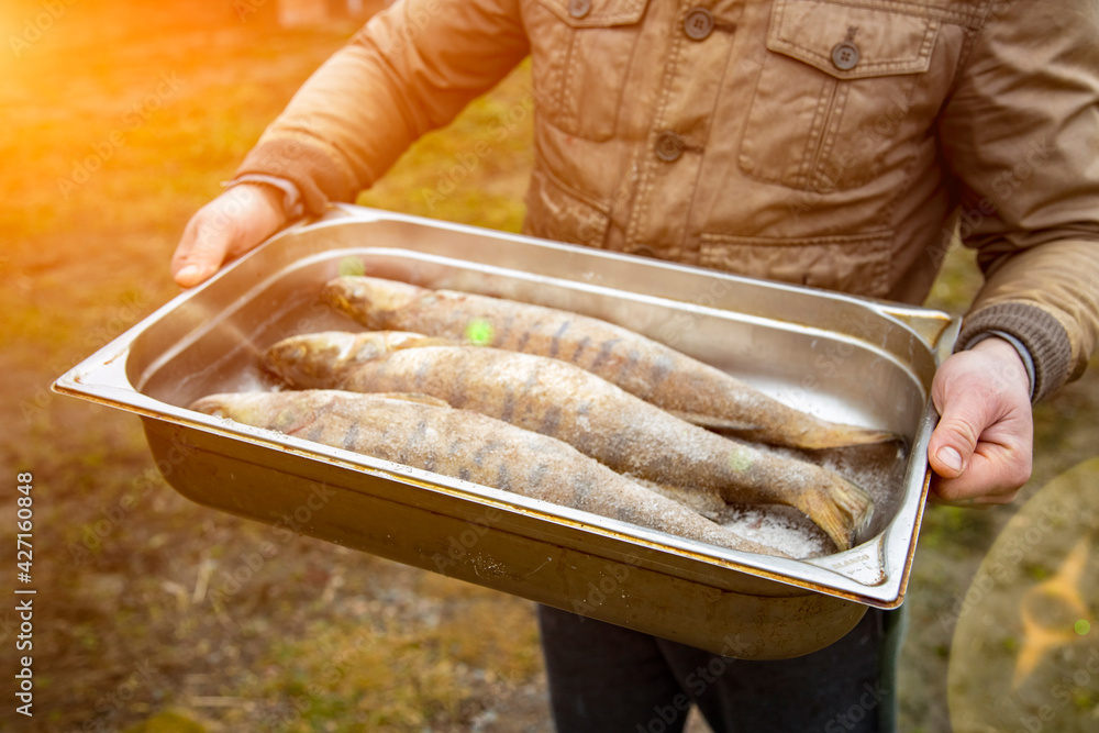 raw freshly caught river fish on a pallet in the arm of a fisherman. a ...