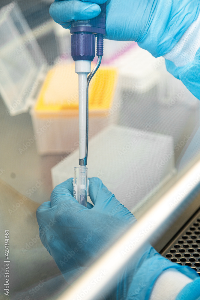 PCR Covid-19 test Lab, Nairob, Kenya Stock Photo | Adobe Stock