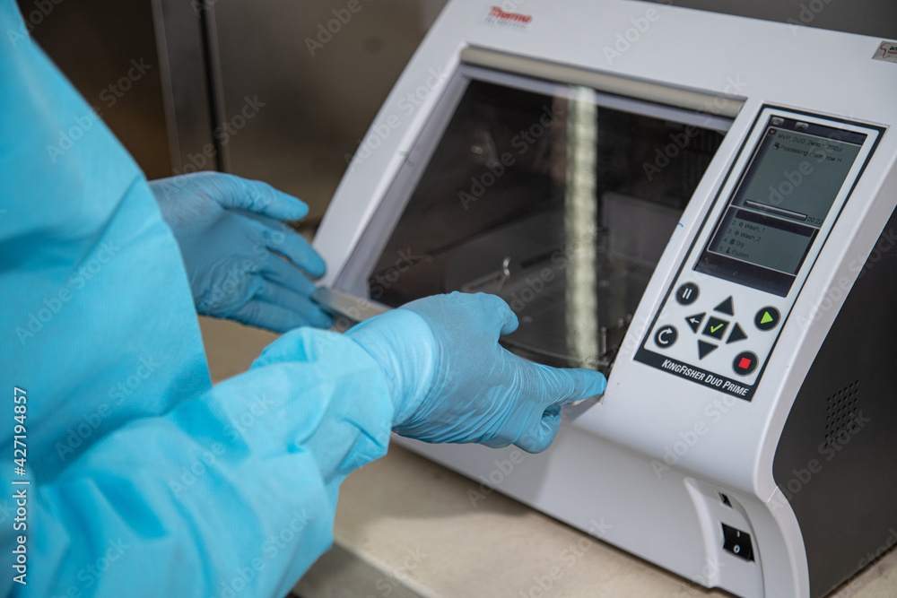 PCR Covid-19 test Lab, Nairob, Kenya Stock Photo | Adobe Stock