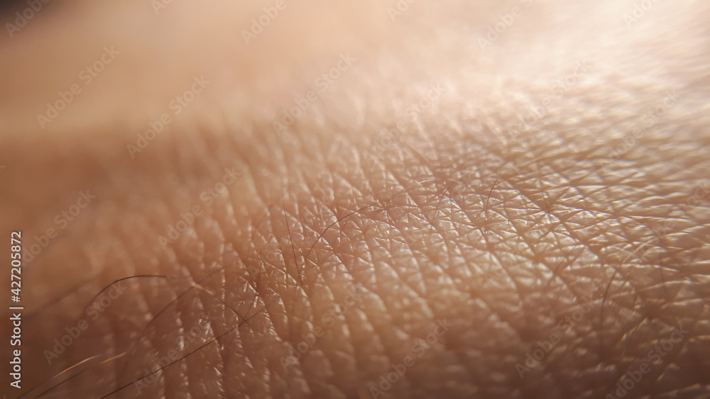 Brown Human Skin Texture