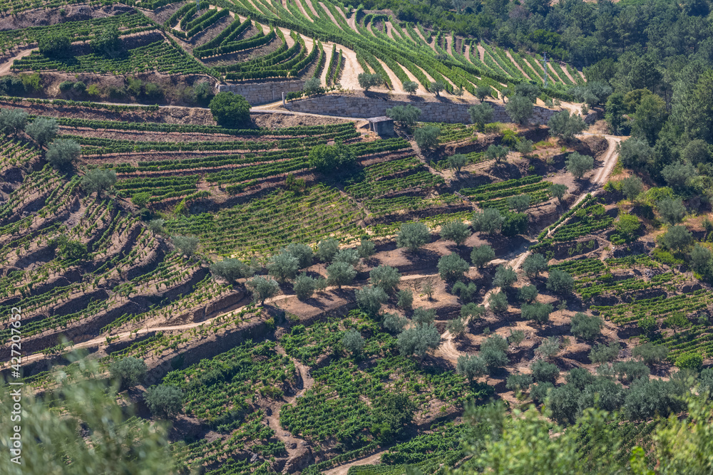 Aerial typical landscape of the highlands in the north of Portugal ...