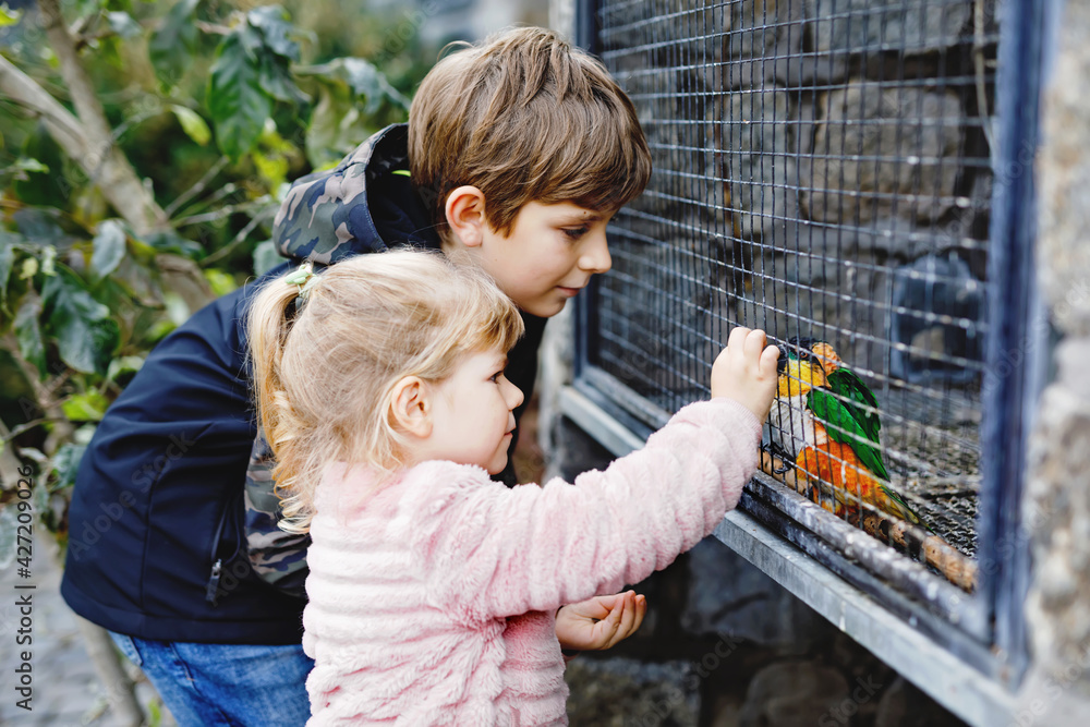 Two happy children, siblings feeding parrots in zoological garden ...