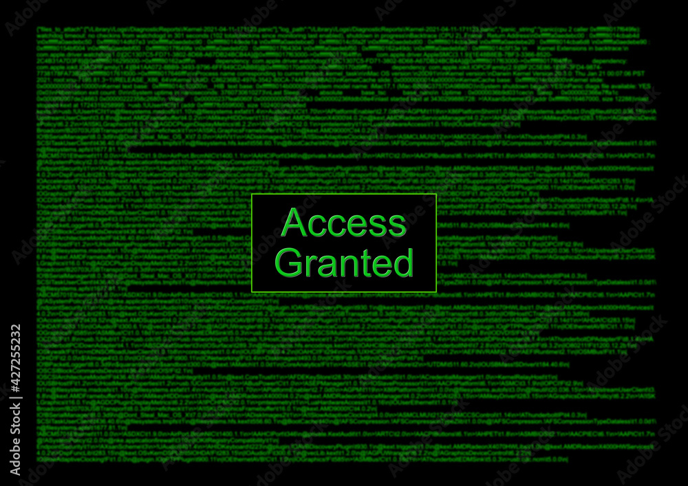 Black computer screen with green text. Textbox access granted in the ...