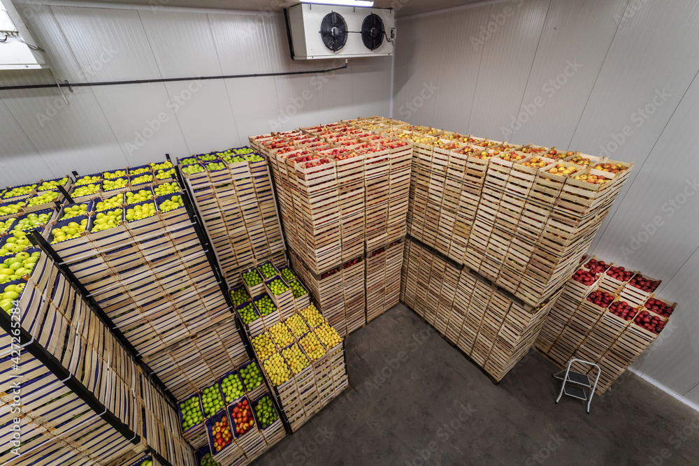 Fruits in crates ready for shipping. Cold storage interior. Stock Photo ...