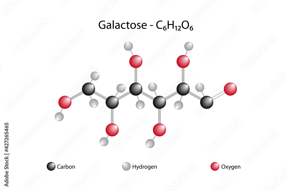 Structural Formula Of Galactose