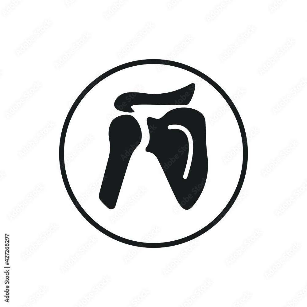 Vector illustration of scapula, humerus and clavicle isolated on white ...