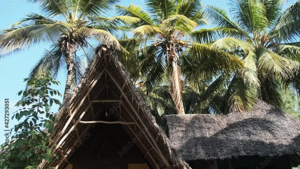 Video Stock Tropical African hotel with thatched palapa roof bungalows ...