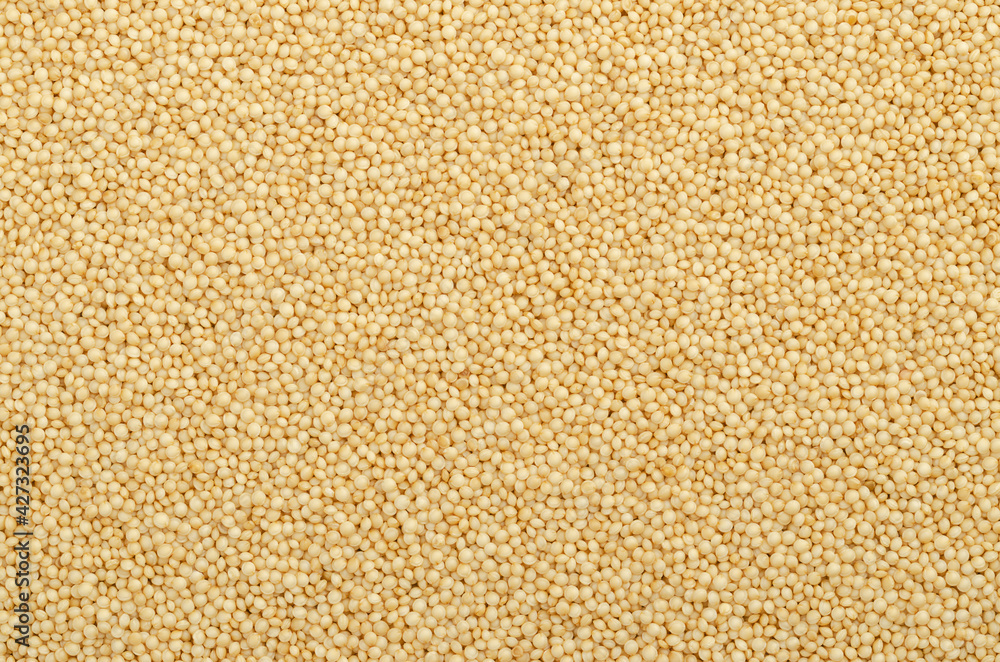 Amaranth grain surface and background. Tiny seeds of Amaranthus, a ...