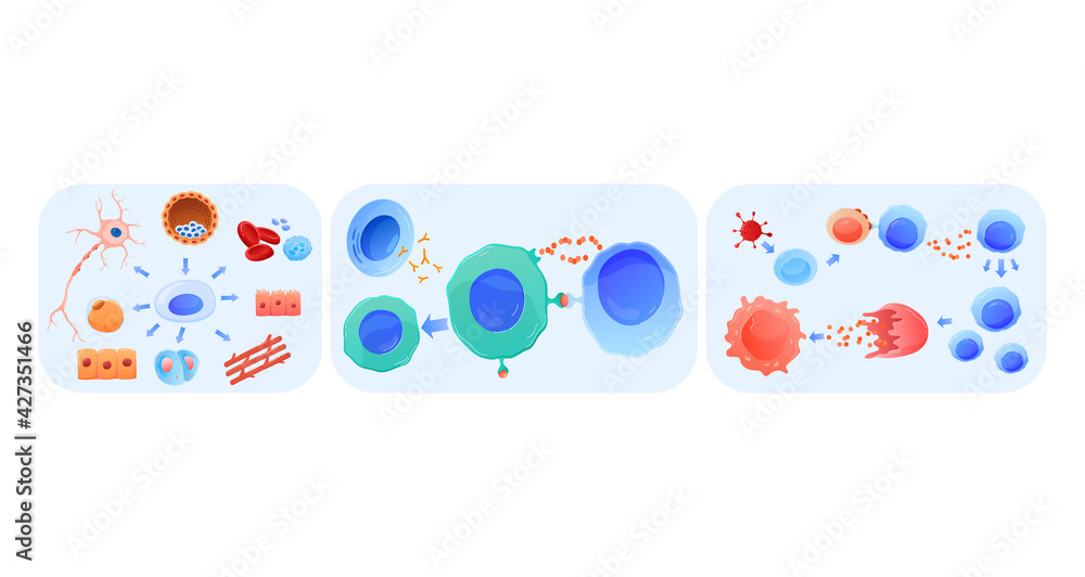 Science for study dna, human cell in cut under microscope, medical ...