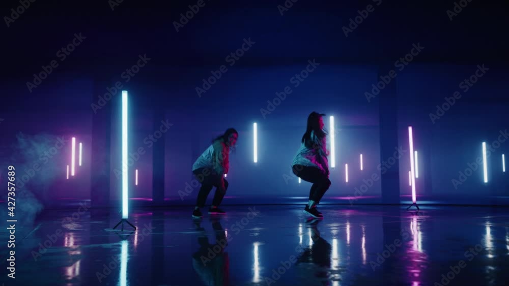 Two Stylish Professional Female Dancers Performing a Hip Hop Dance ...