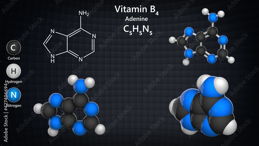 Adenine 3d Structure