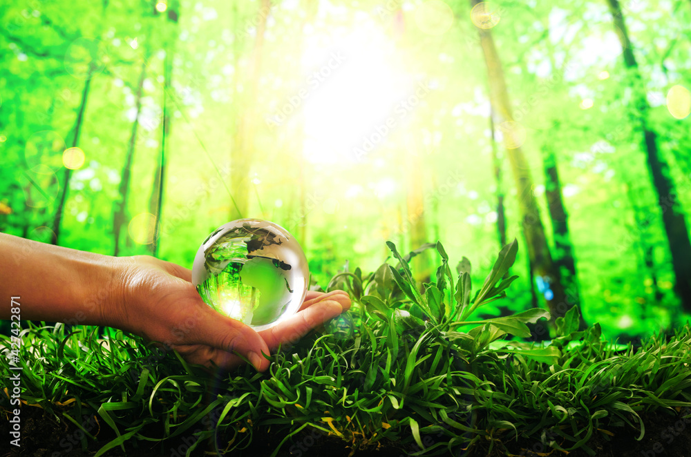 Save Earth. Concept of environment world earth day banner. Hands ...