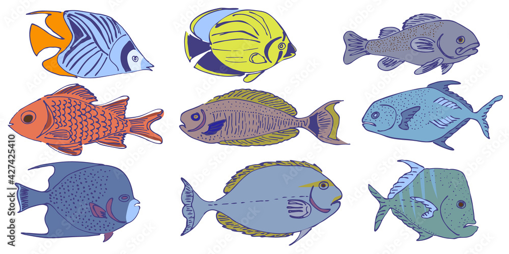 Hand drawn set with fishes from corales see. Set with color cartoon ...
