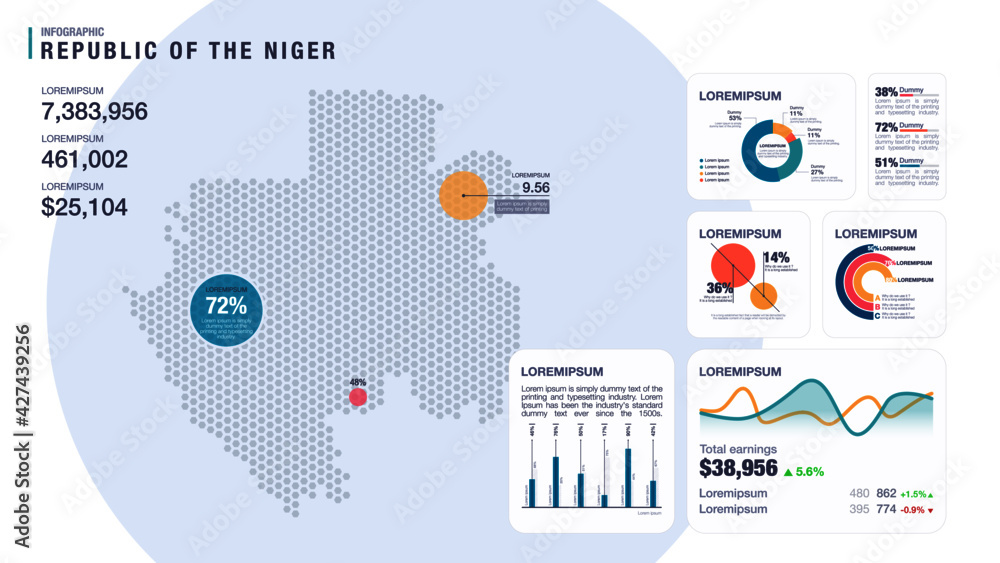 Detail infographic vector illustration. Map of Niger and Infographic ...