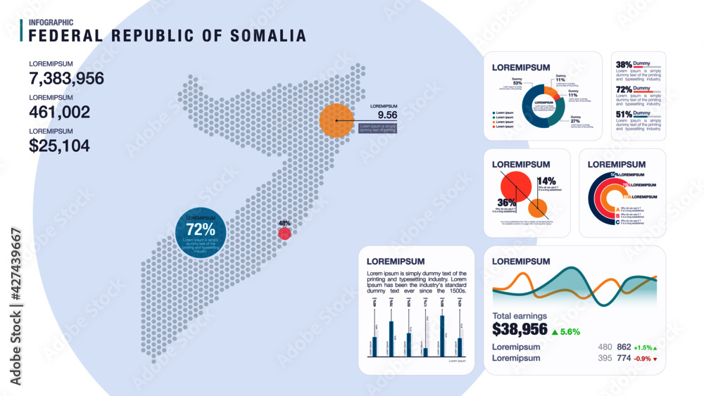 Detail infographic vector illustration. Map of Somalia and Infographic ...