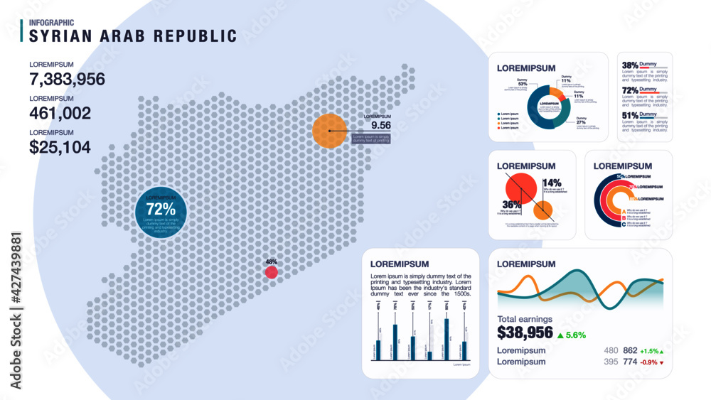 Detail infographic vector illustration. Map of Syria and Infographic ...