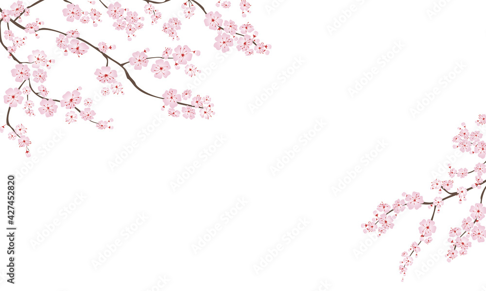 Blooming cherry sakura. Horizontal rectangular floral banner gradient ...