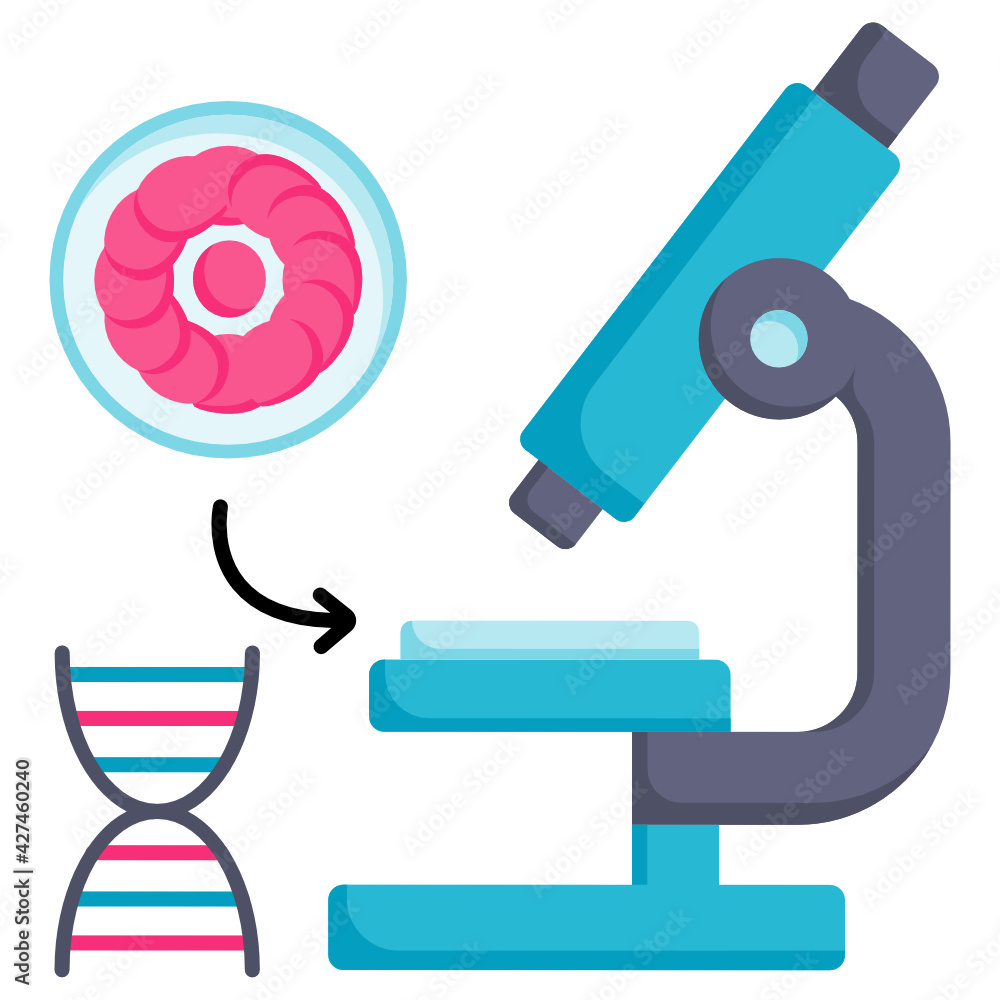 Preimplantation genetic diagnosis test Concept, IVF Process Vector Icon ...