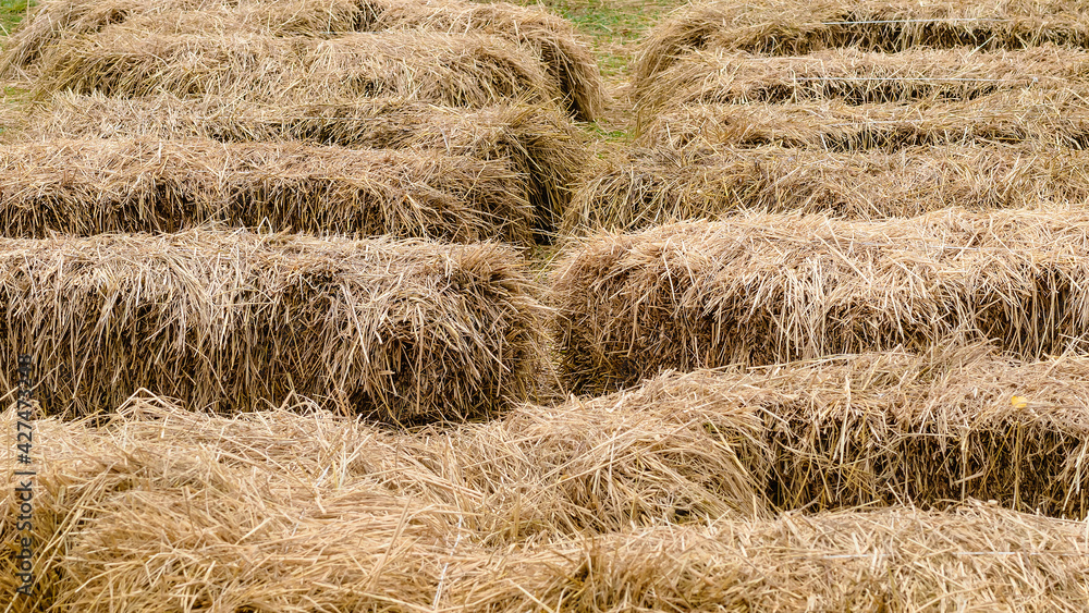 Seats and tables made from straw bales for event and party laid on lawn ...