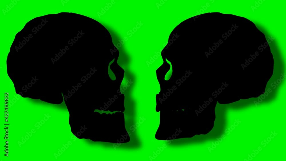 2D animated skulls are talking each other 2D animation.Green screen ...