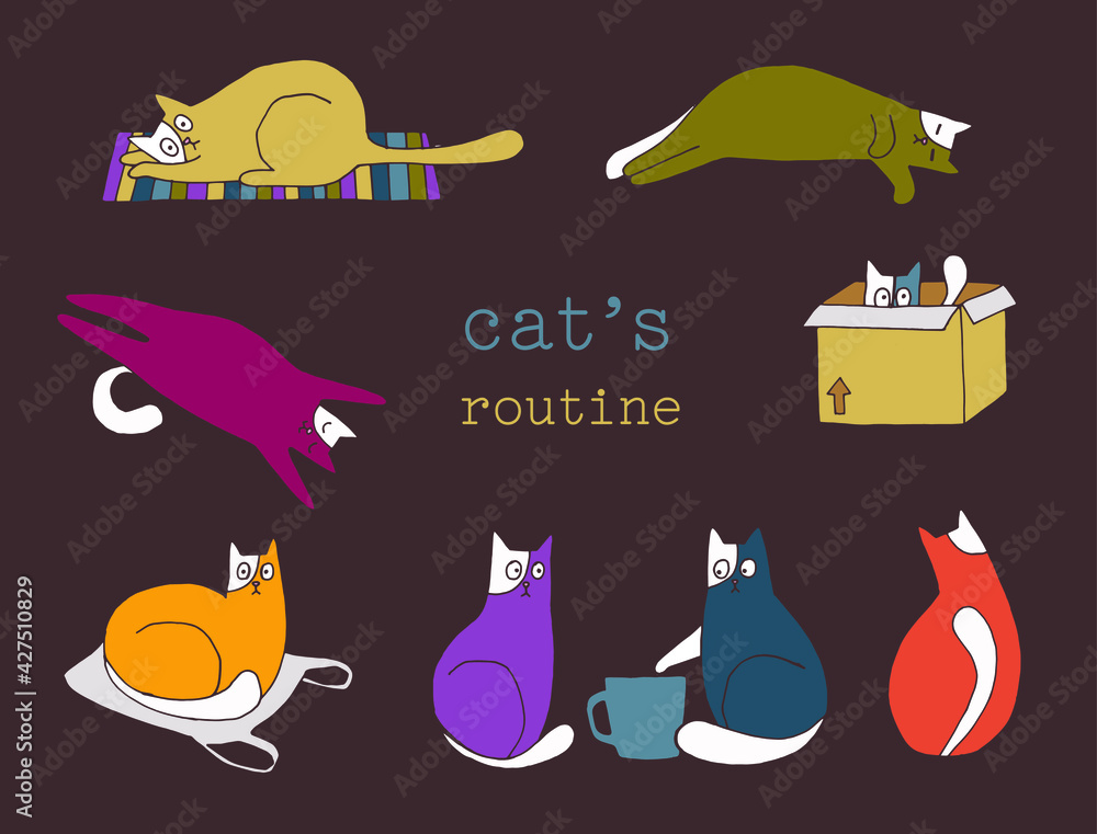 cats routine funny colourful cats daily routine vector illustration ...