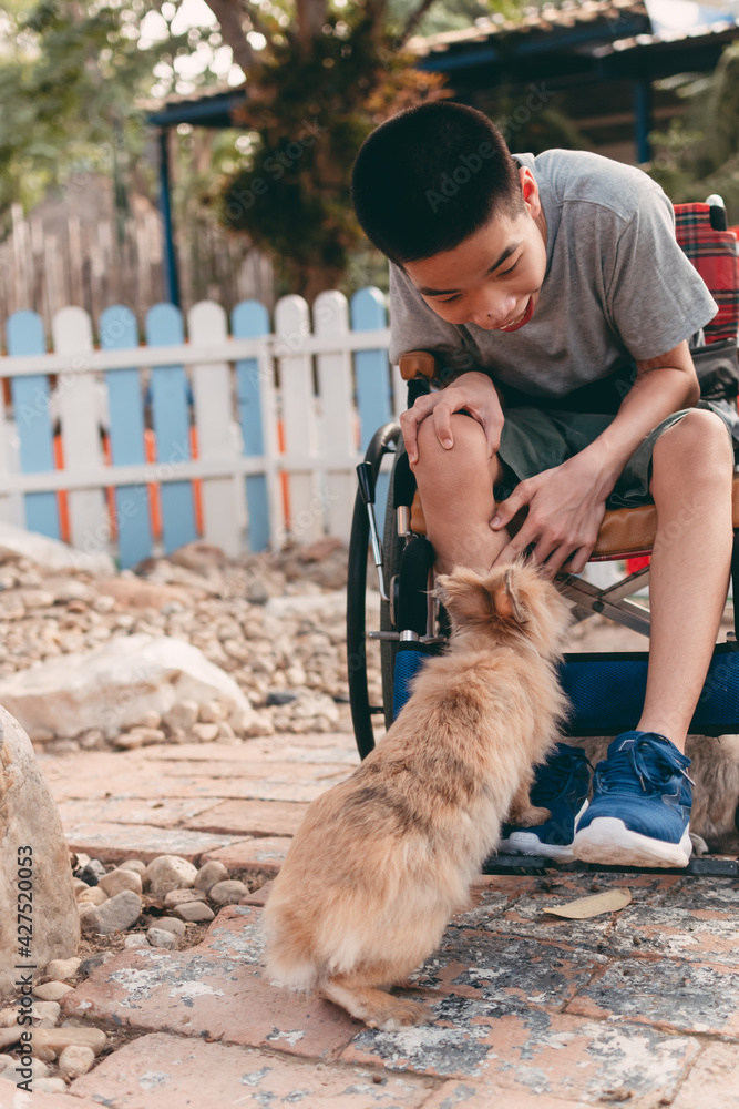 Disabled child sitting on wheel chair feeding rabbits in zoo,Boy smile ...