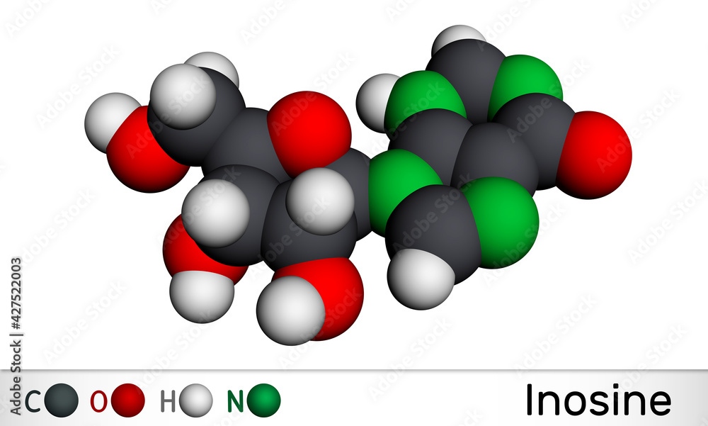 Inosine molecule. It is purine nucleoside, commonly occurs in tRNA ...