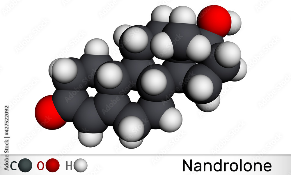 Nandrolone, 19-Nortestosterone, nortestosterone molecule. It is ...