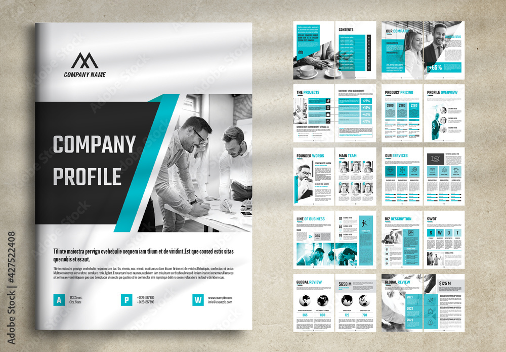 Business Profile Layout Stock Template | Adobe Stock
