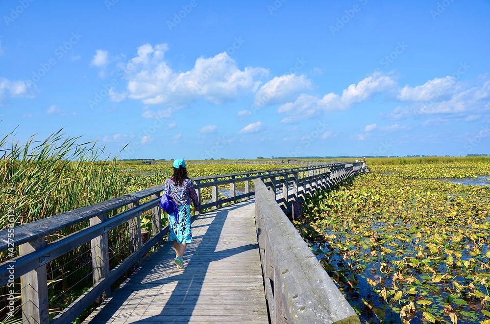 Point Pelee National Park, at the southernmost point of the Canadian ...