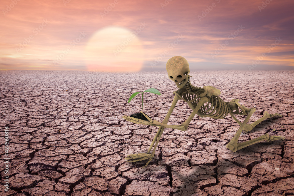 hand of skeleton holding plant over land with dry and cracked ground ...