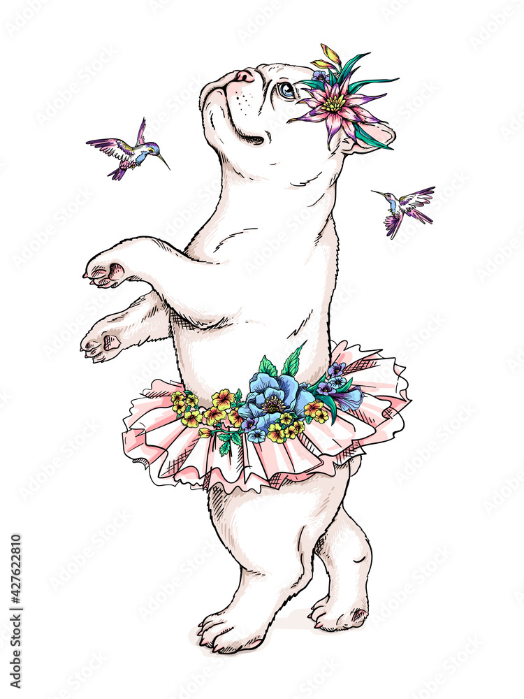 Cute french bulldog ballerina sketch. Dog in ballet tutu. Vector ...
