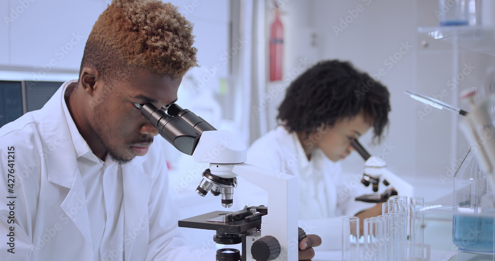 African ethnicity doctors working in laboratory. Studying human ...