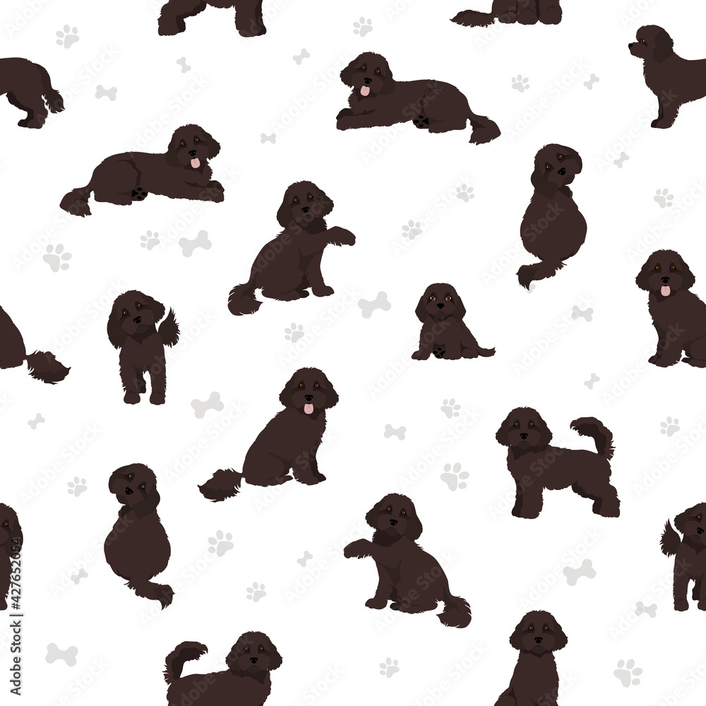 Cavapoo mix breed seamless pattern. Different poses, coat colors set ...