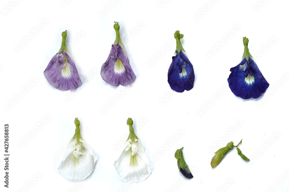 Blue color of anthocyanin in butterfly pea piles natural acid and base ...