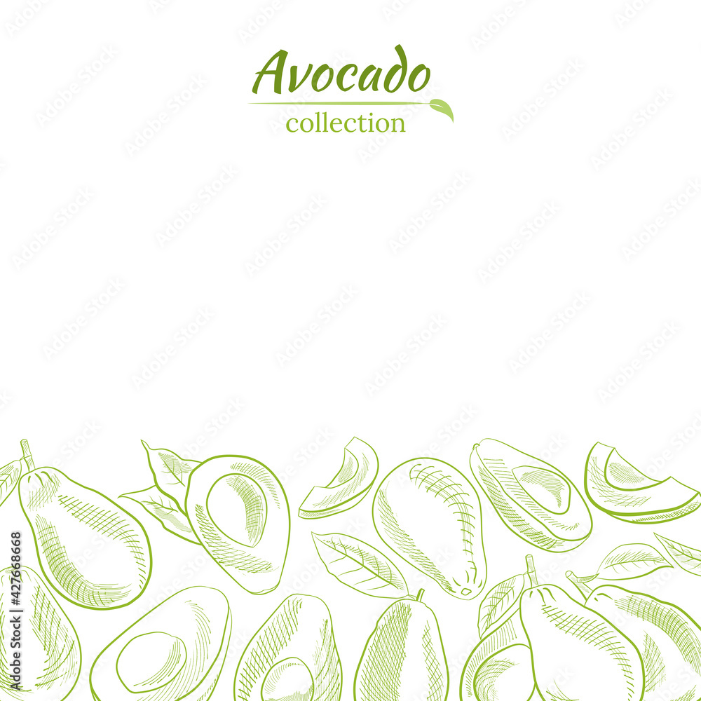 Vector hand drawn avocado and slices set.Sketch of a whole avocado ...