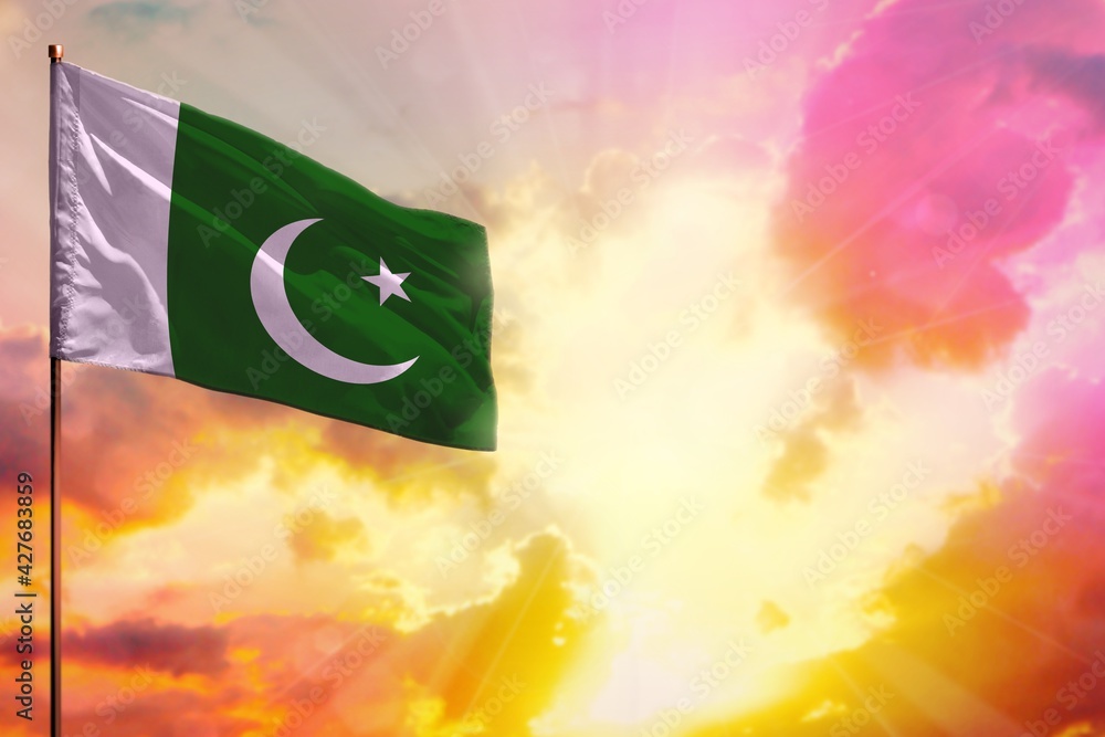 Beautiful Pakistan Flag