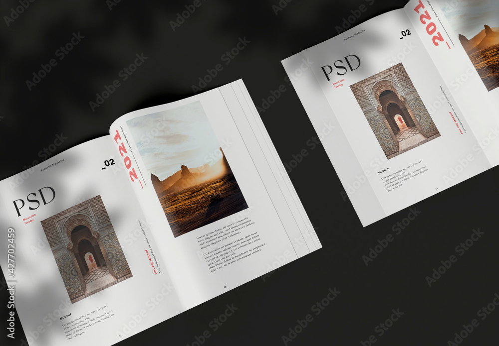 Two Magazines Mockup Stock Template | Adobe Stock