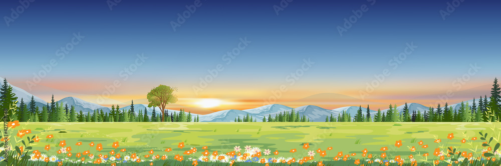 Horizon Sunset Land