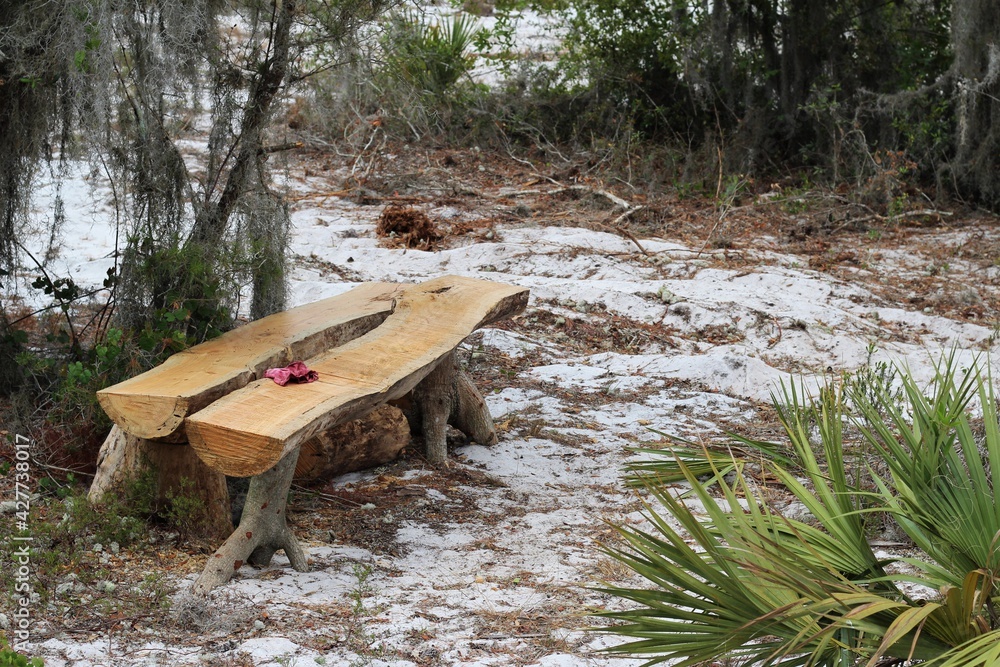 Hand made bench from an oak tree with tree stumps in a park outdoor ...