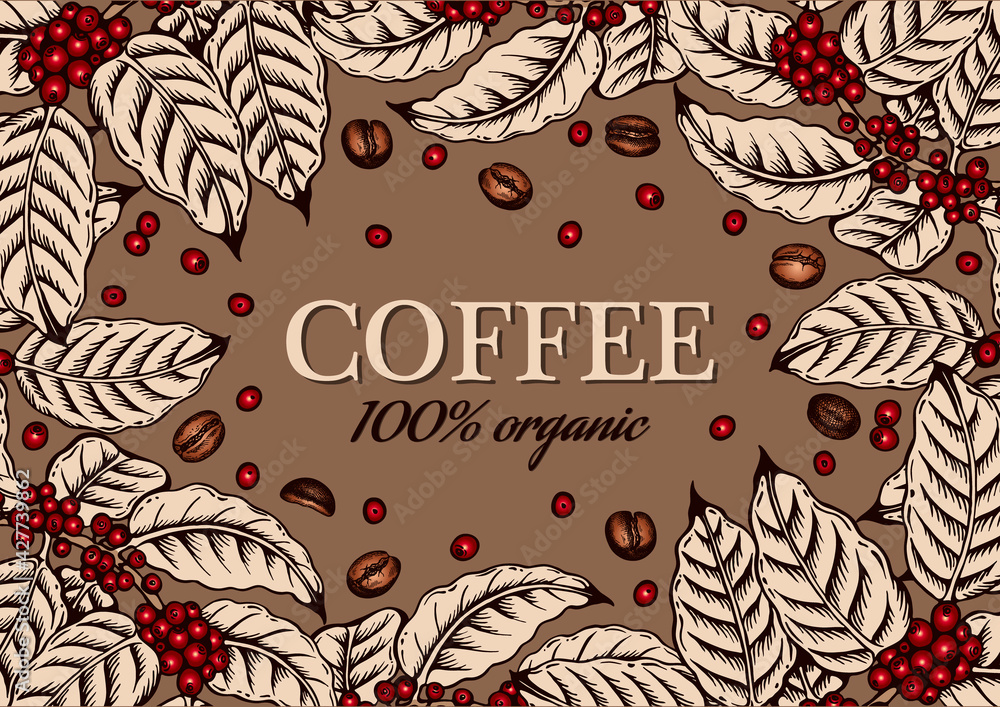 Drawing template of 100% organic coffee with leaves, roasted coffee ...