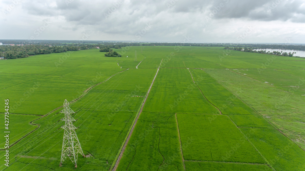 Aerial view of rise paddy field of Kuttanad,Alleppey ,Kerala. Stock ...