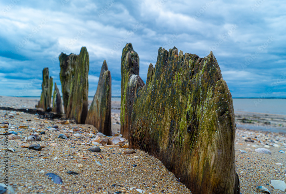 Old Ship Beams In Sand On Beach Ship Wreck Stock Photo | Adobe Stock