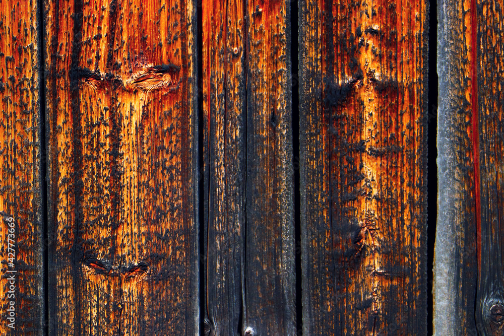 wood tree timber background texture structure backdrop Stock Photo ...
