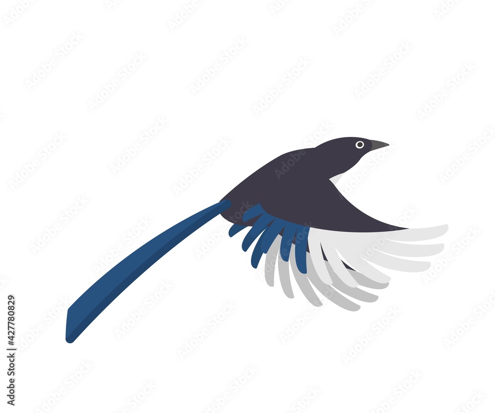 Magpie isolated on white background, bird cartoon comic vector ...