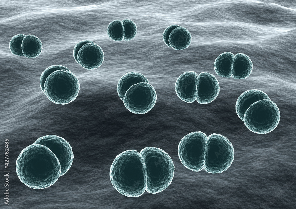 Streptococcus Pneumoniae By Dennis Kunkel Microscopy Science Photo